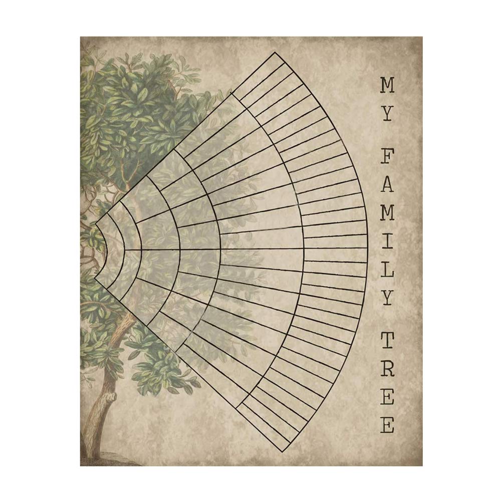 Buy BSMEAN Family Tree Charts to Fill in, 5 Generation Family Tree ...