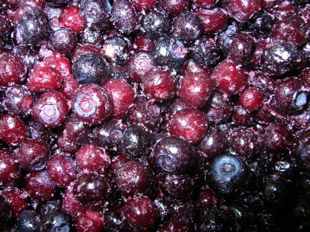 Amazon.com: Frozen Wild Mountain Huckleberries - Large and Tart-Sweet ...