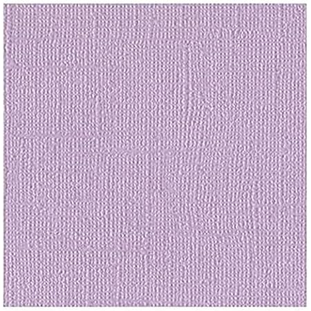 Bazzill Basics Paper ScrapBooking Sheets Bling Petty Cash, Green ...