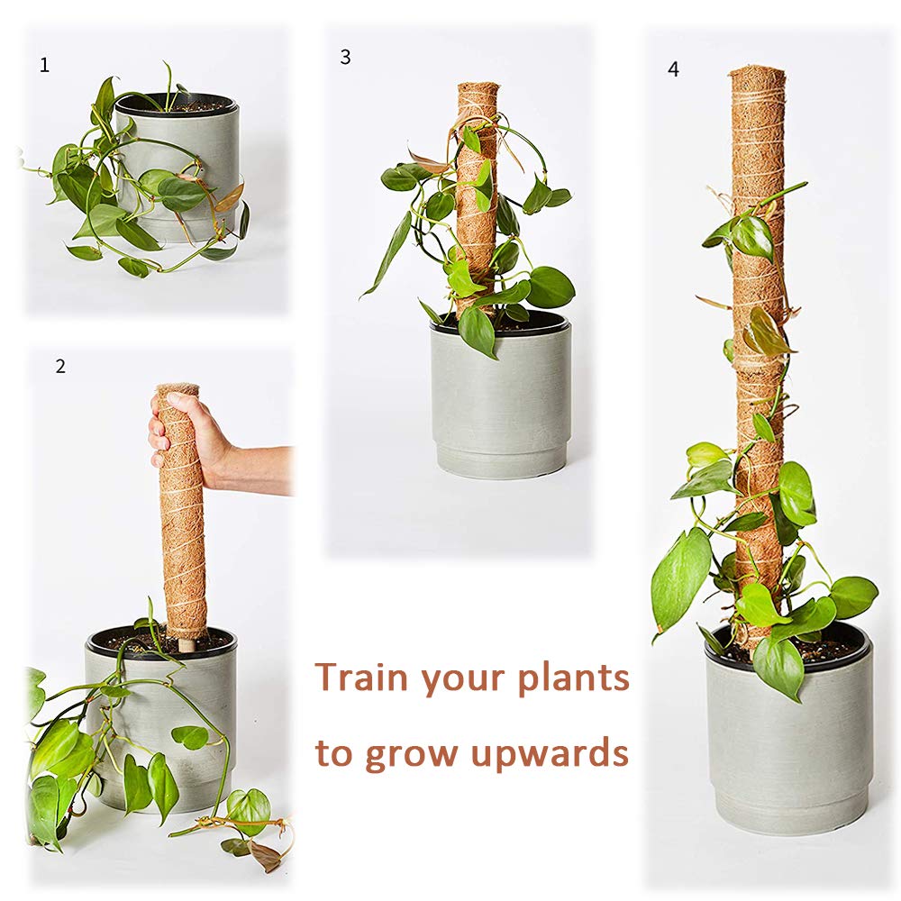 4 Pcs Plant Support Pole 12 & 16 Inches Moss Pole Coco Coir Totem Poles ...