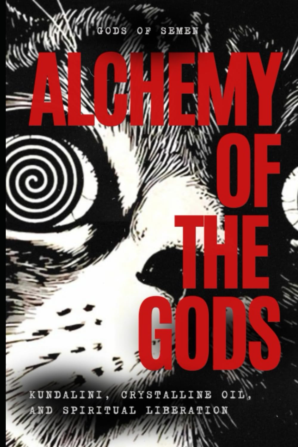 ALCHEMY OF THE GODS: GODS OF SEMEN, Laerte holanda: 9798300914370 ...