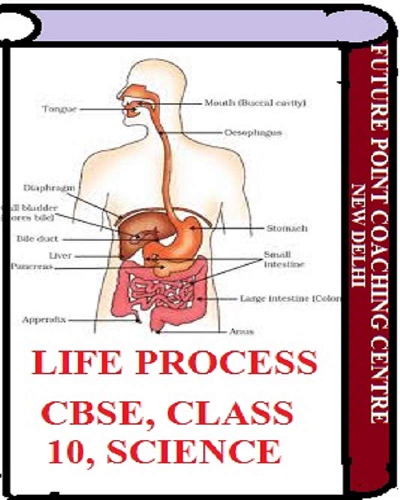 LIFE PROCESS: BIOLOGY eBook : COACHING CENTRE, FUTURE POINT: Amazon.in ...