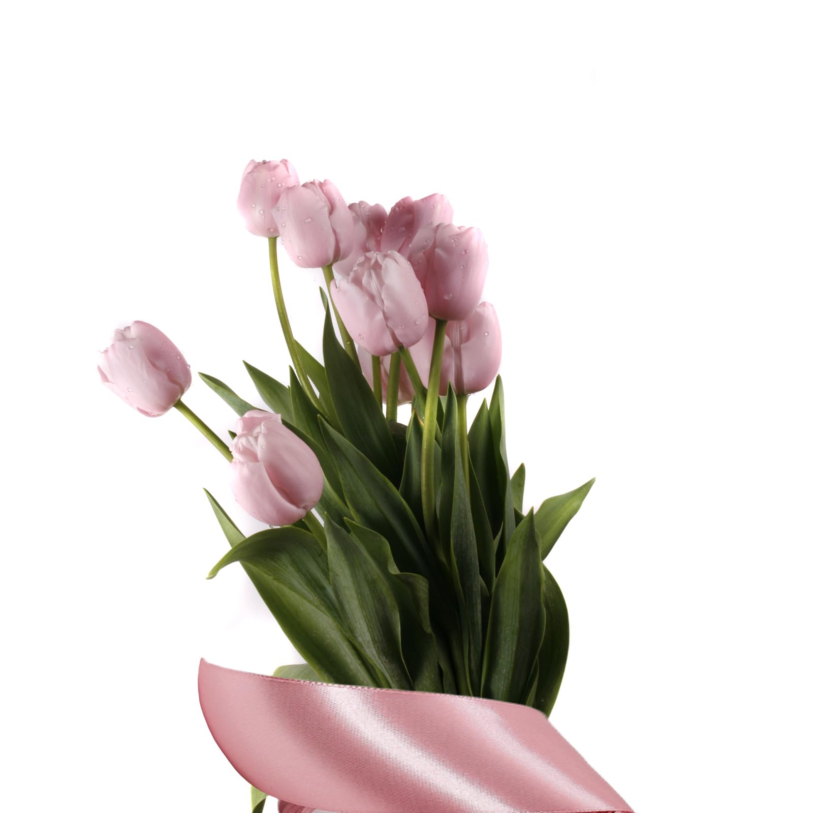 Wide Army Green Ribbon 40mm Satin Ribbons for Gift Wrapping,22m 1.5Inch ...