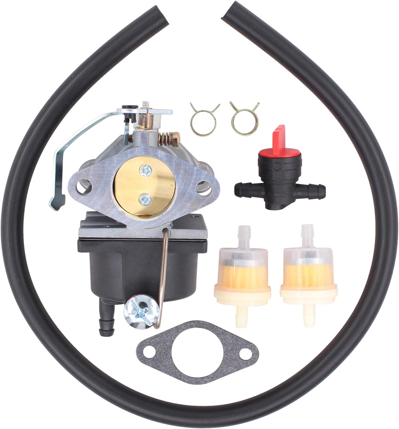 Amazon.com : ApplianPar Carb Carburetor Kit for Coleman Powermate 6875 ...