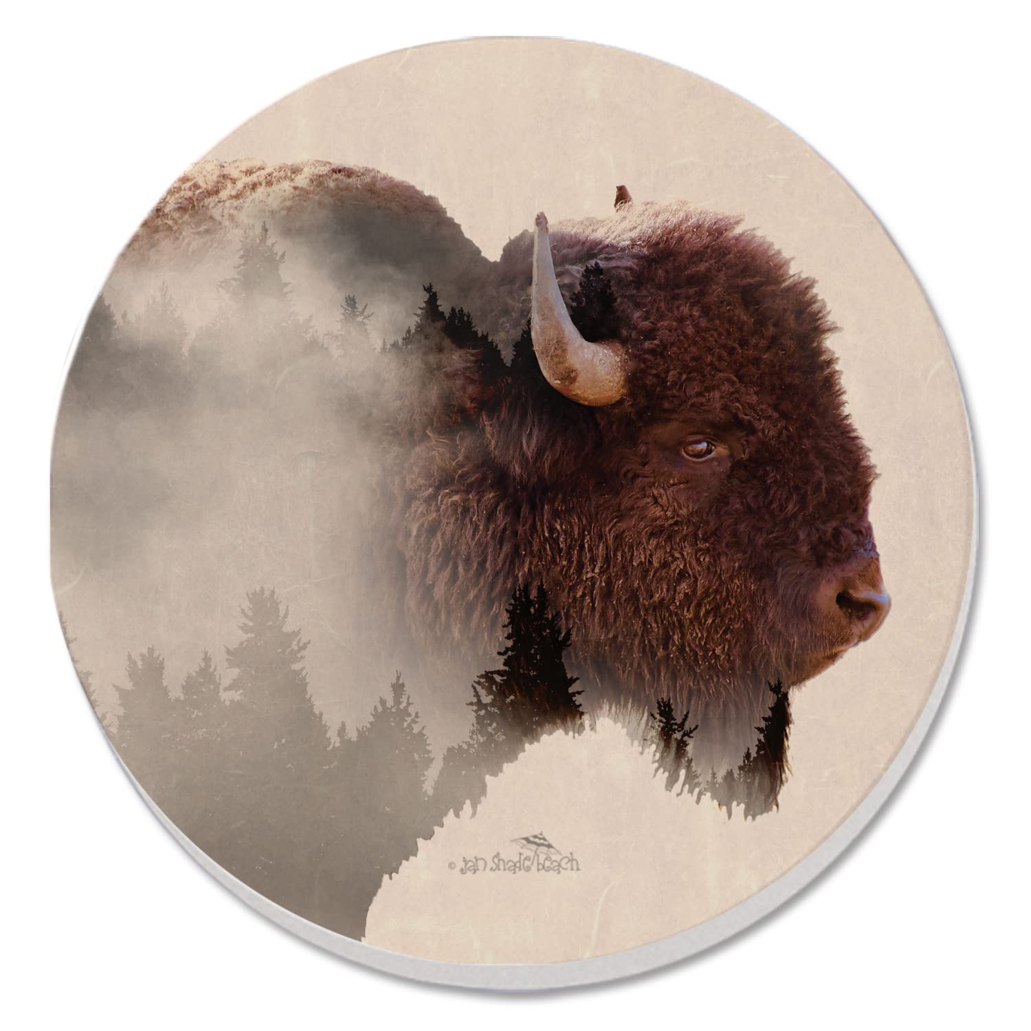 Amazon.com | Thirstystone Buffalo Scene 4 Pack Absorbent Stone Coasters ...