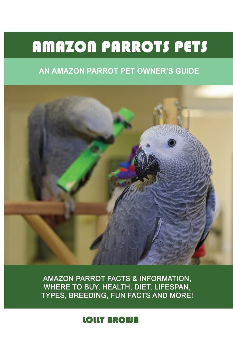 Buy Amazon Parrots Pets: An Amazon Parrot Pet Owner's Guide Book Online ...