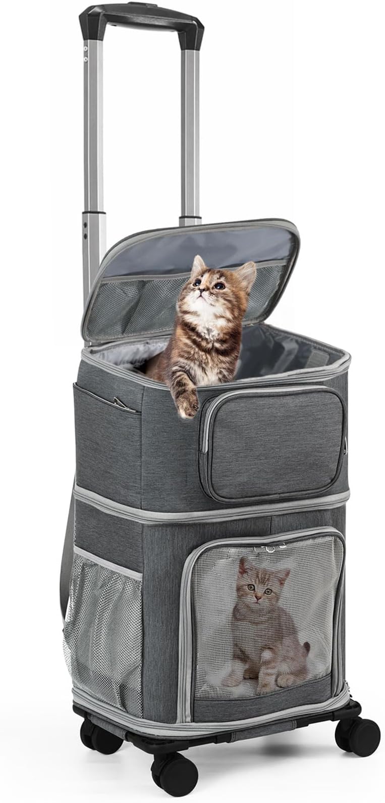 Amazon.com : Vanansa Pet Carrier on Wheels, 2-in-1 Detachable Double ...