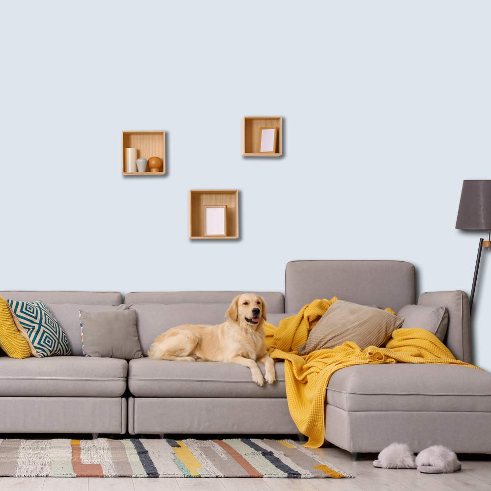 Reflective Interior Paint