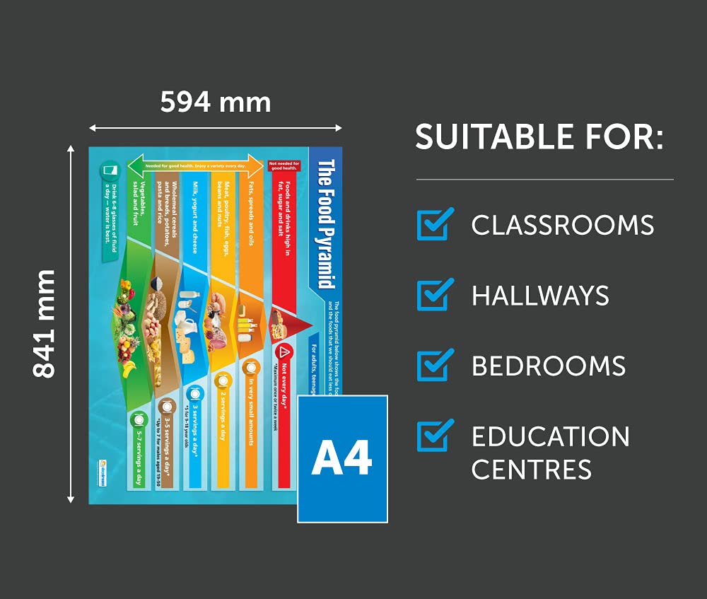 Buy Food Pyramid | Science Posters | Gloss Paper measuring 33” x 23.5 ...