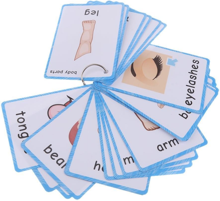 36 Body Parts Flash Cards & Children Cards for Toddlers- Educational ...