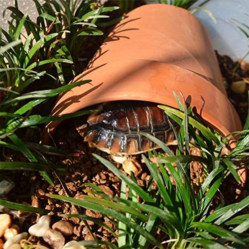 Snapklik.com : Reptile Habitat Décor Hideouts Basking Platform For ...