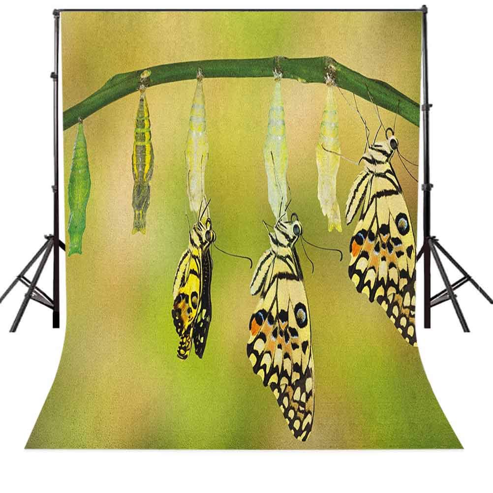 Buy 7x10 FT Swallowtail Butterfly Vinyl Photography Background ...