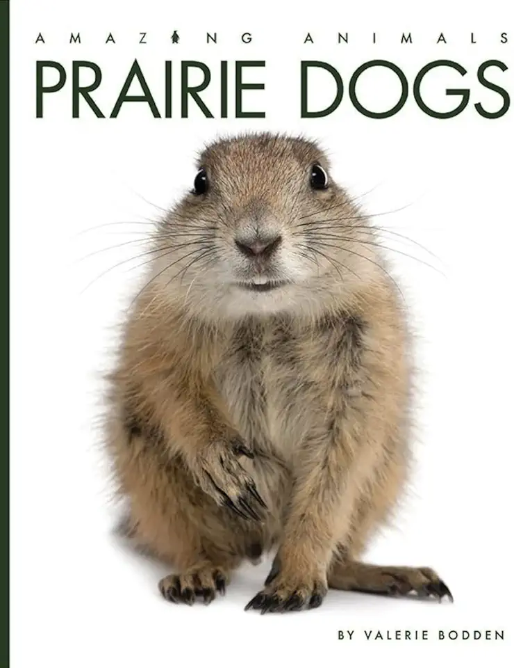 Prairie Dog Diet Restrictions: What Not To Feed Them | PetShun