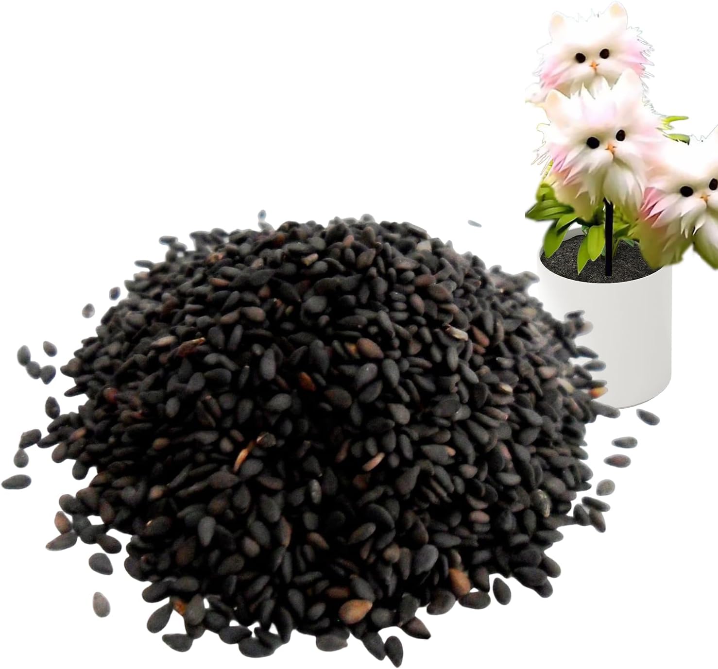 100Pc Cat Face Orchid Seed | Cat Face Flower Seed | Orchids Plants Real ...