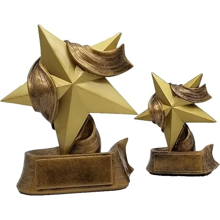 Amazon.com: Dollar Sign Trophy - Sales or Fundraising Award - Gold Bag ...