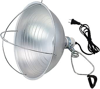 Amazon.com: GREATIDE Brooder Lamp with Bulb Guard and 10.5 Inch ...