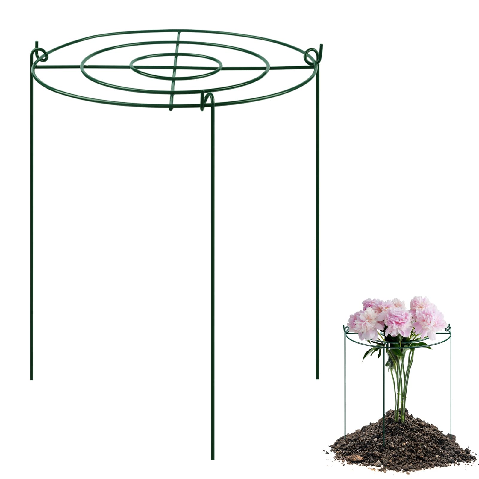 Amazon.com : ZJIA 18 Inches Peony Cages and Supports Grow Through Plant ...