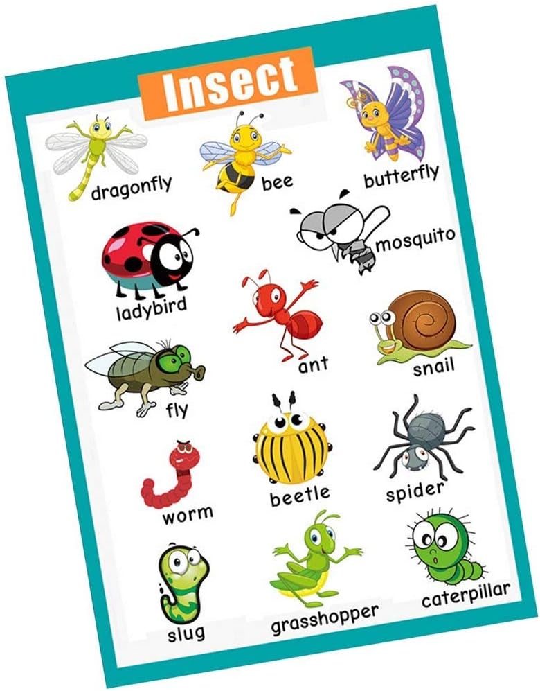Amazon.com: SANTSUN Educational Preschool Posters | Educational Wall ...