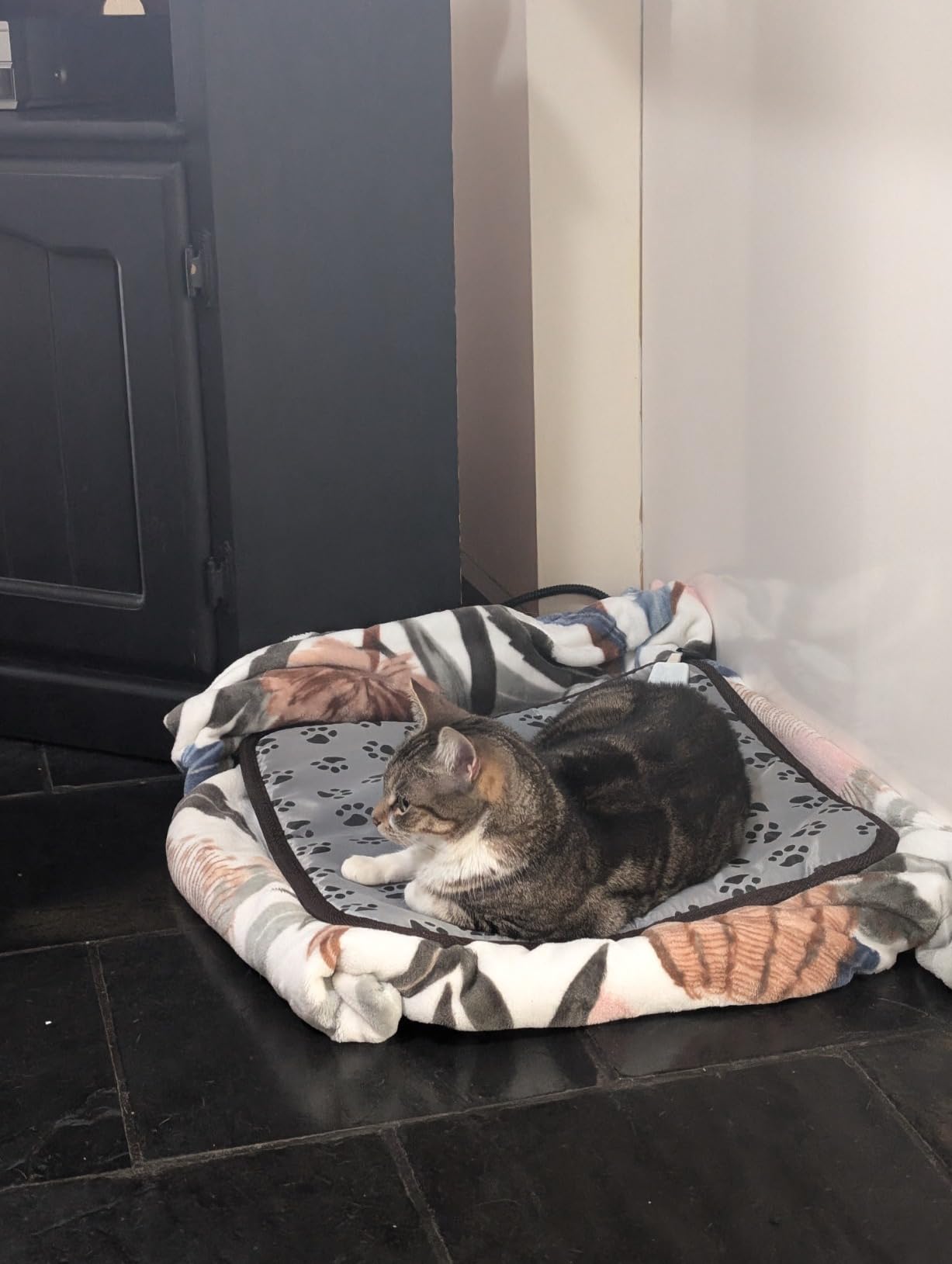 20W Electric Pet Heat Mat Heated Pad Dog Cat Heating Blanket Bed ...