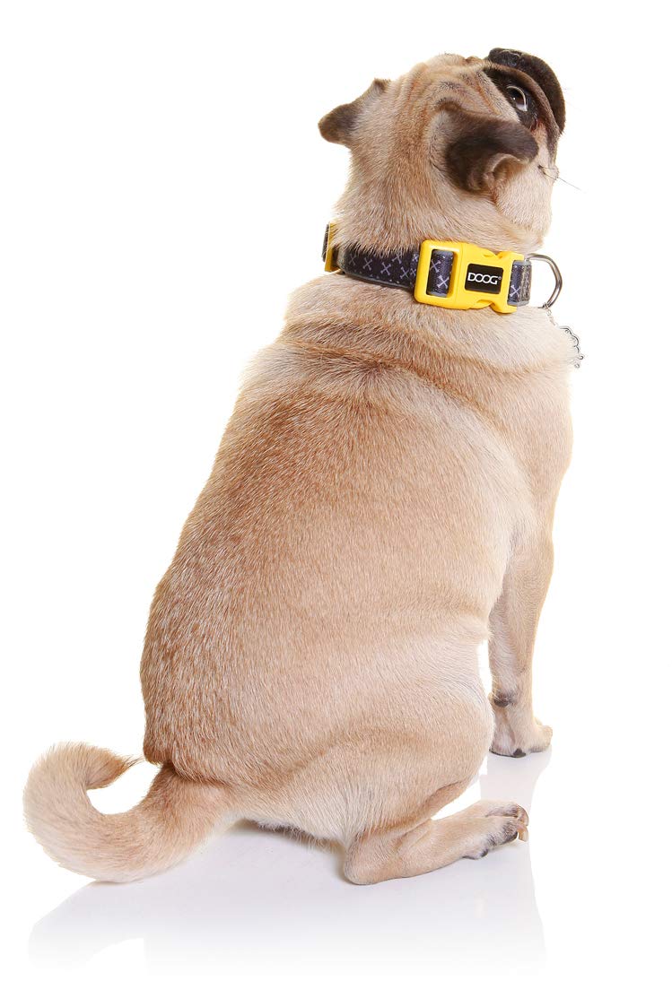 Snapklik.com : DOOG Neoprene Dog Collar Odie