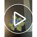 Amazon.com: Blueberry Patches for Jackets, Clothing, Dress, Jeans, Hat ...
