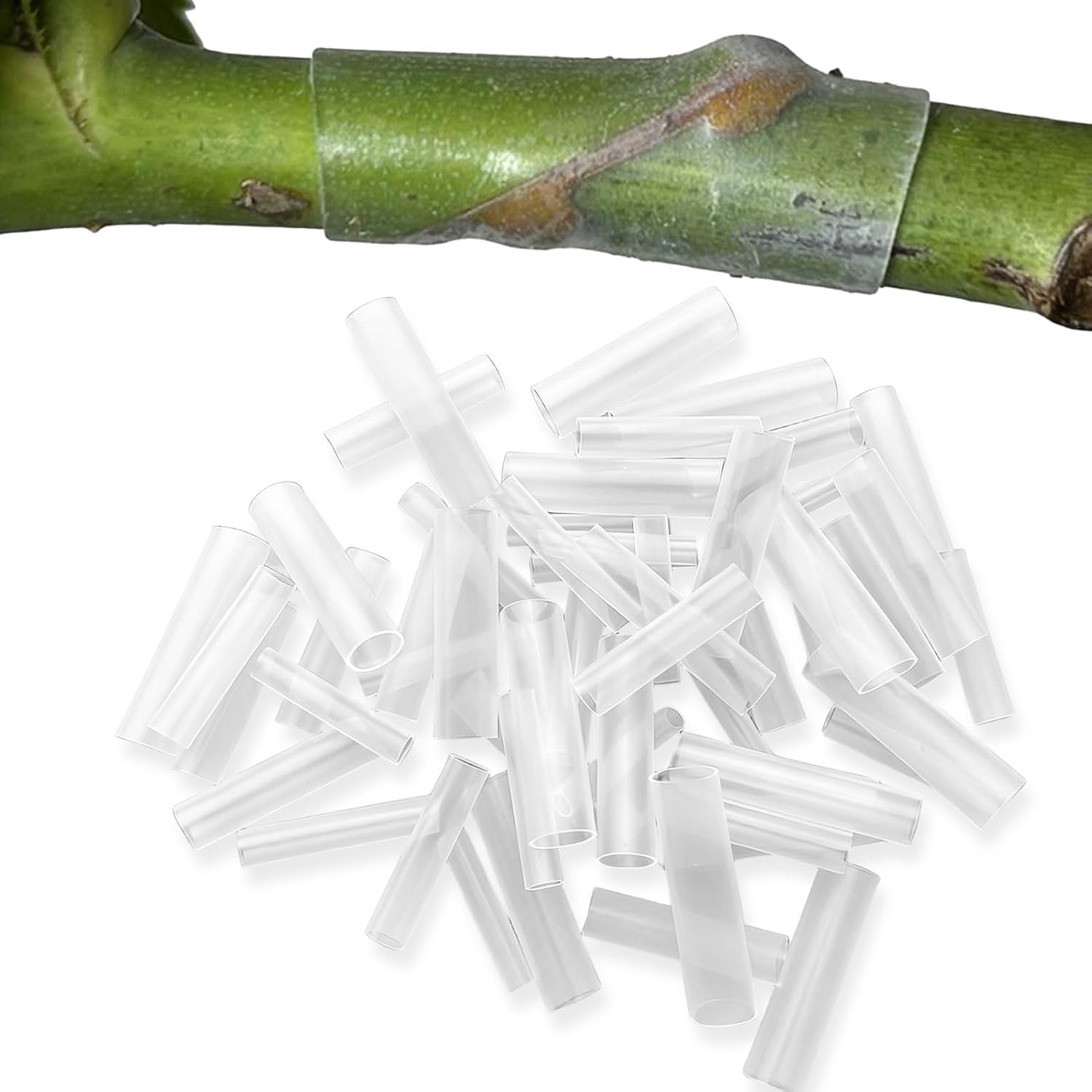 Amazon.com : Tree Branch Grafting Tubes - Clear Plant Propagation ...