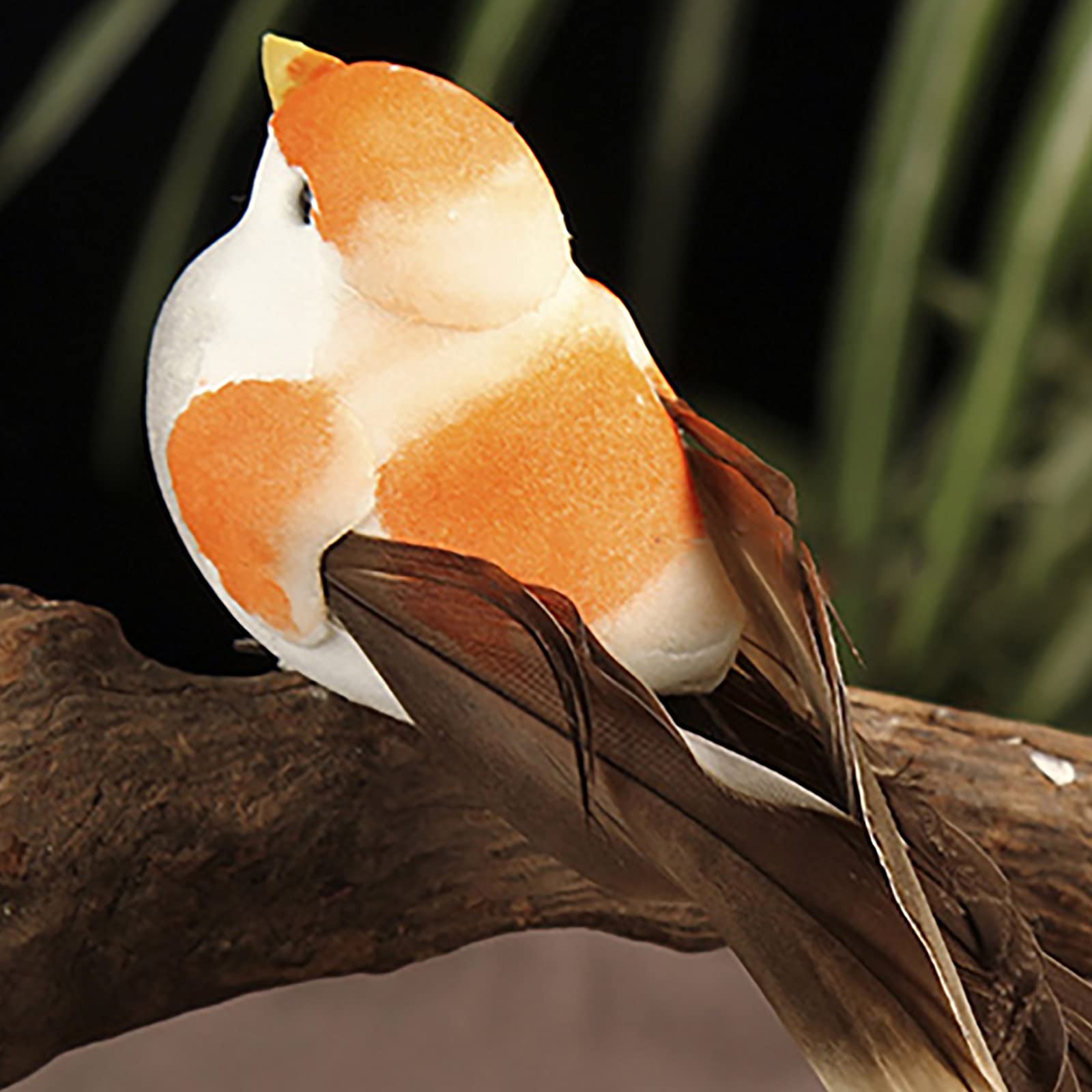Dp Images Of Birds Which BIRD Pfp Should Be My New One? | Fandom