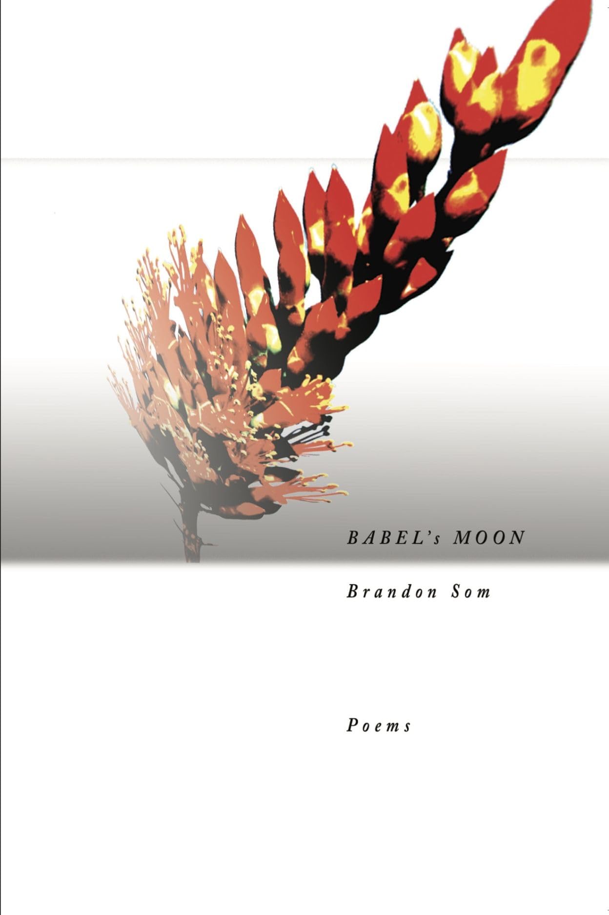 Babel's Moon: Som, Brandon: 9781936797042: Amazon.com: Books