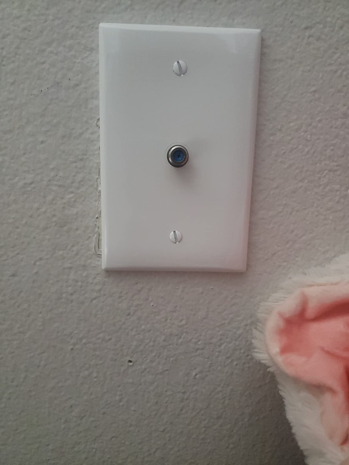 Leviton Midsize Video Wall Jack, F Connector, 40539-MW, White ...