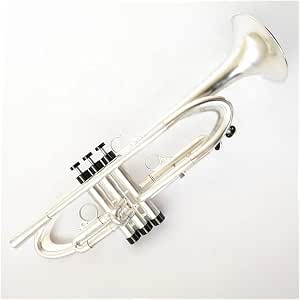 Amazon.com: Student Brass Trumpet Professional Trumpet Student Double ...