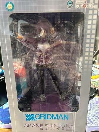 Amazon.co.jp: Akane Shinjo 16 Scale Figure : Hobbies