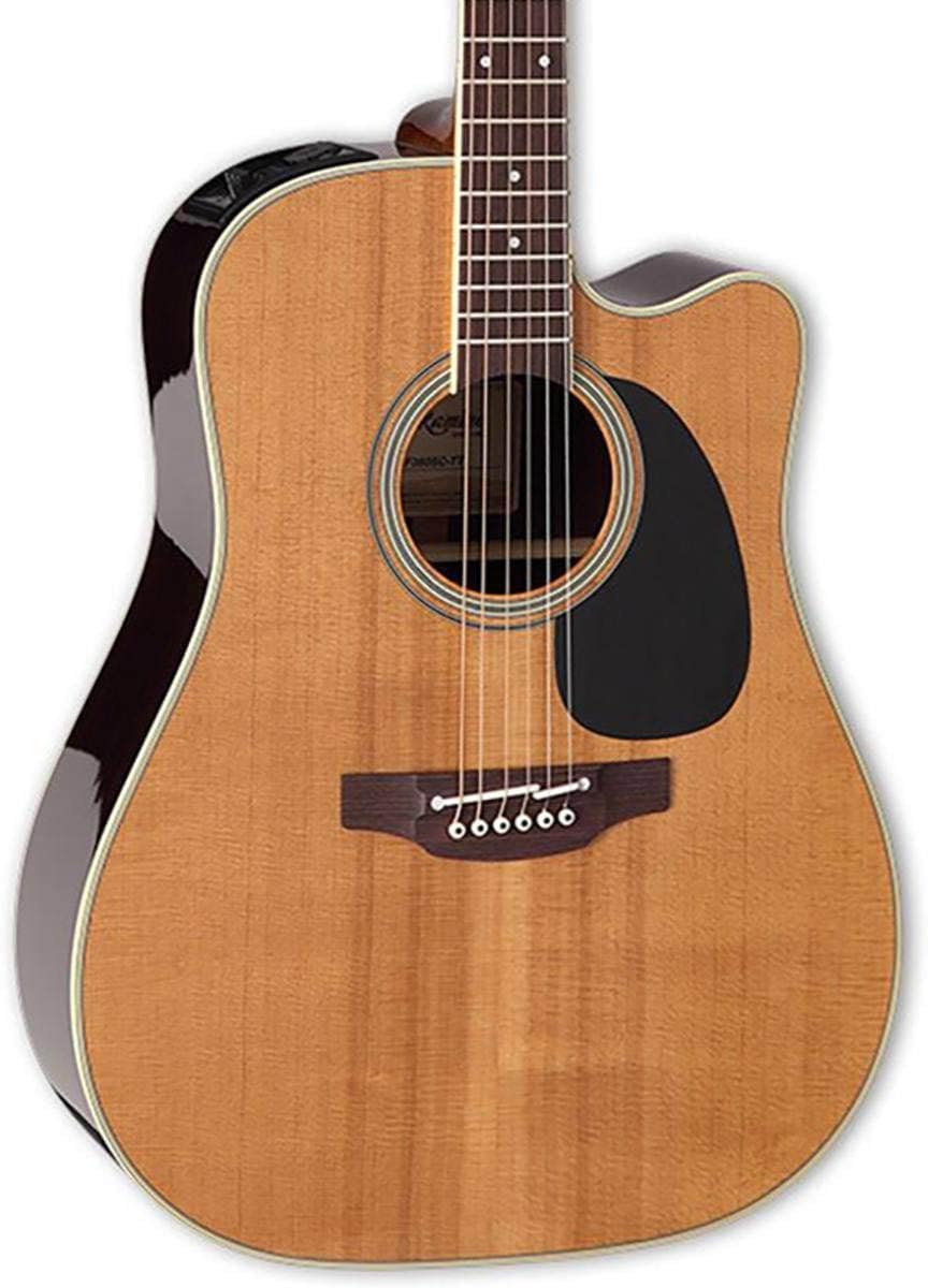 Amazon.com: Takamine EF360SC-TT Dreadnought Acoustic-Electric Guitar ...