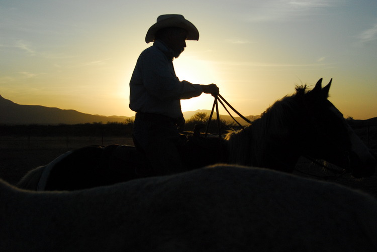 Amazon.com: Mike Blakely: books, biography, latest update