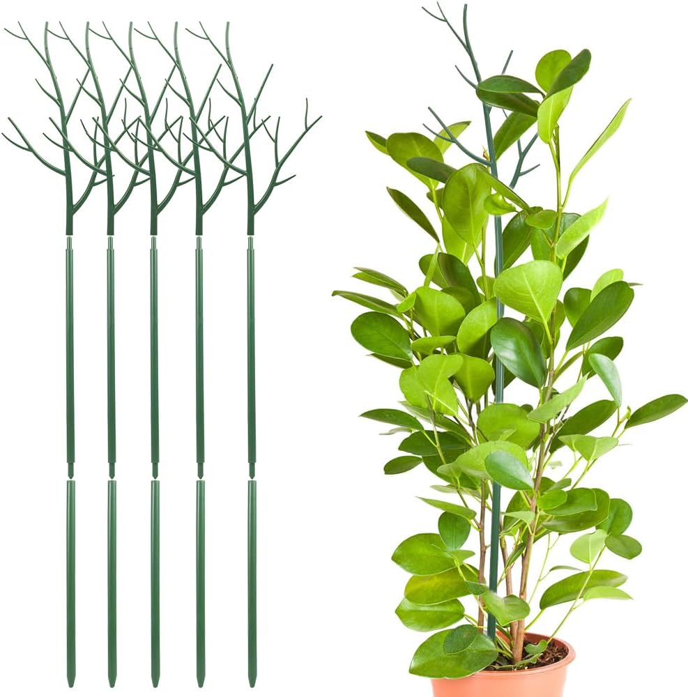 Amazon.com : LucyPhy 5 Sets Twig Plant Support Stakes Branch Plant ...