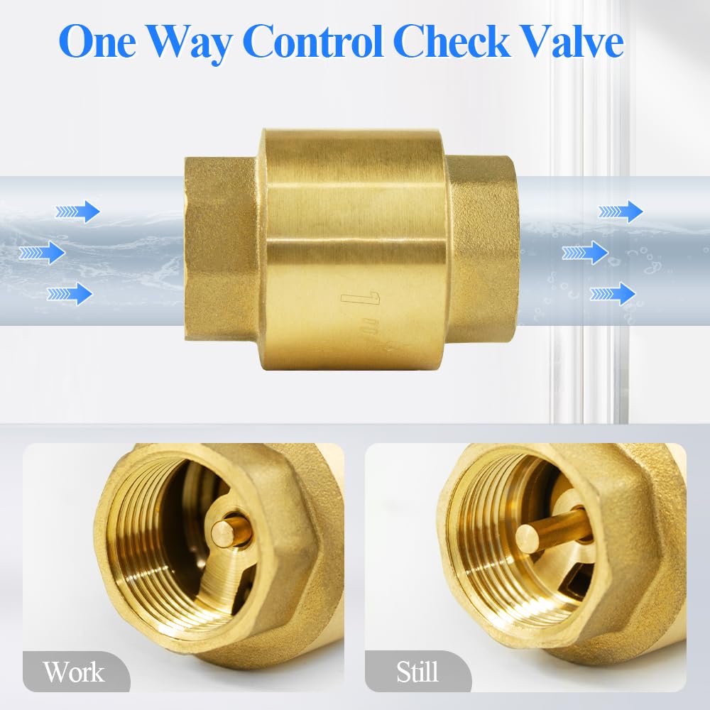 Snapklik.com : Vertical Spring Check Valve, 1" G Thread Brass Check ...