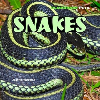 Snakes (Classroom Pets): Randolph, Joanne: 9781404236790: Amazon.com: Books