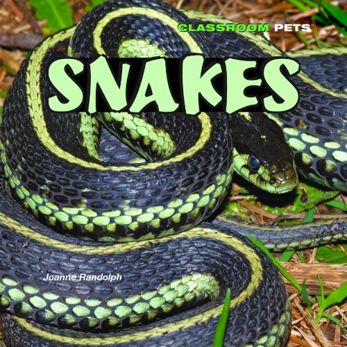 Snakes (Classroom Pets): Randolph, Joanne: 9781404236790: Amazon.com: Books