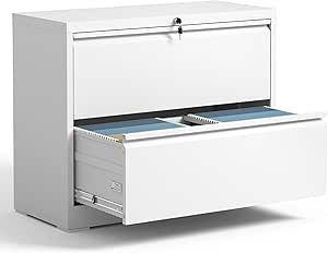 Amazon.com: IKIMI 2 Drawer Lateral File Cabinets Office Metal Filing Cabinet Steel Storage ...