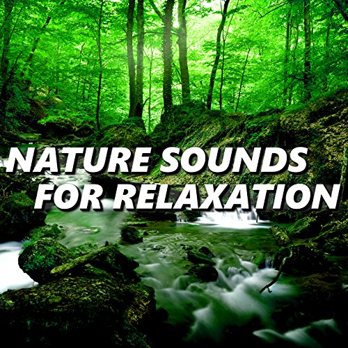 Nature Sounds for Relaxation by Relaxing Nature Recordings & Natural ...