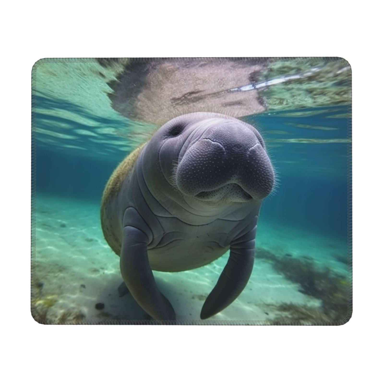 Amazon.com: Cute Sea Animal Manatee Print Mousepad Pad Comfortable Gaming Mousepad Pad with Non ...