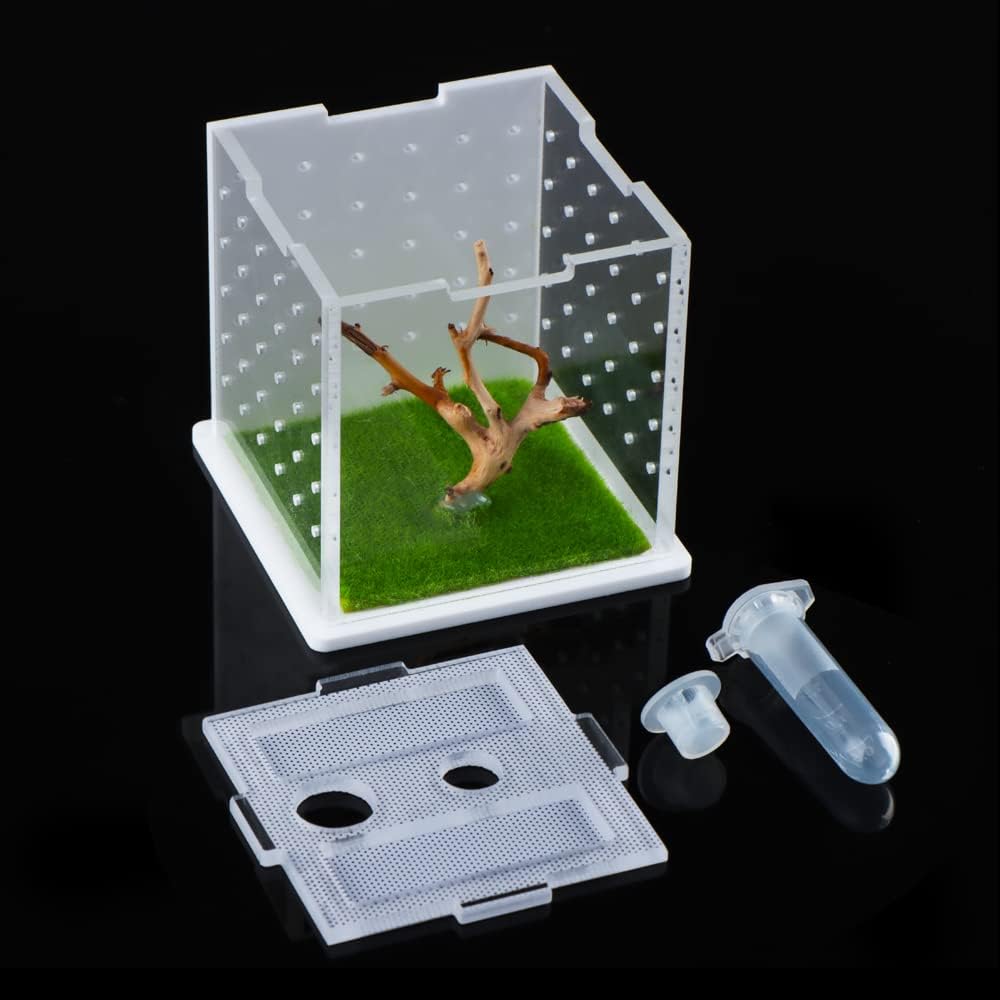 Spider Acrylic Breeding Box, Tarantula Transparent Australia | Ubuy