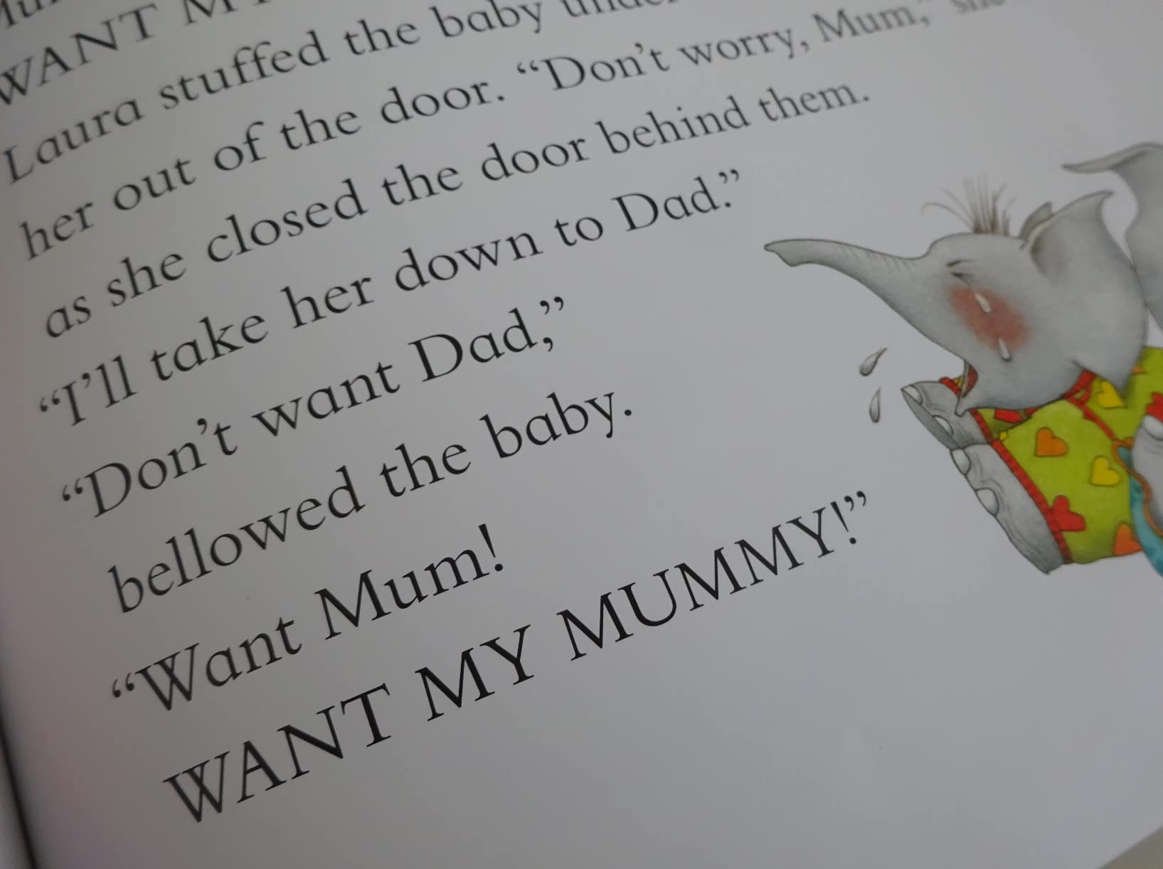 The Large Family: Mr Large in Charge: Amazon.co.uk: Murphy Jill ...