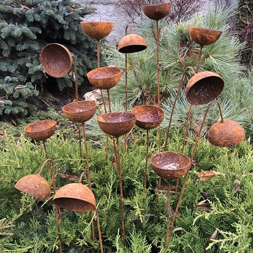Amazon.com: 15 Rusty Flowers, Cute Rusty Metal Flowers, Garden Decor ...