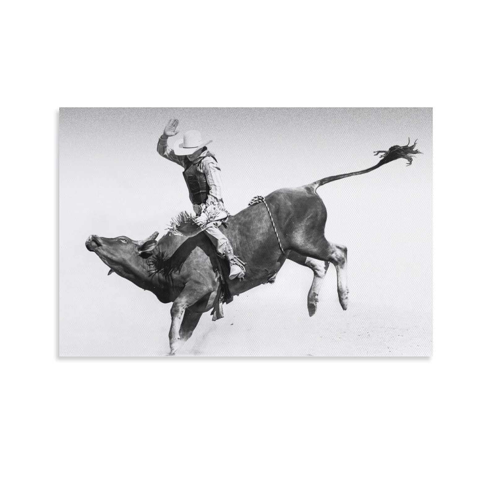 Bucking Bull Drawing