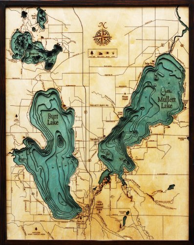 Amazon.co.jp: Burt Lake and Mullett Lake, Michigan Wood Map / Wood ...