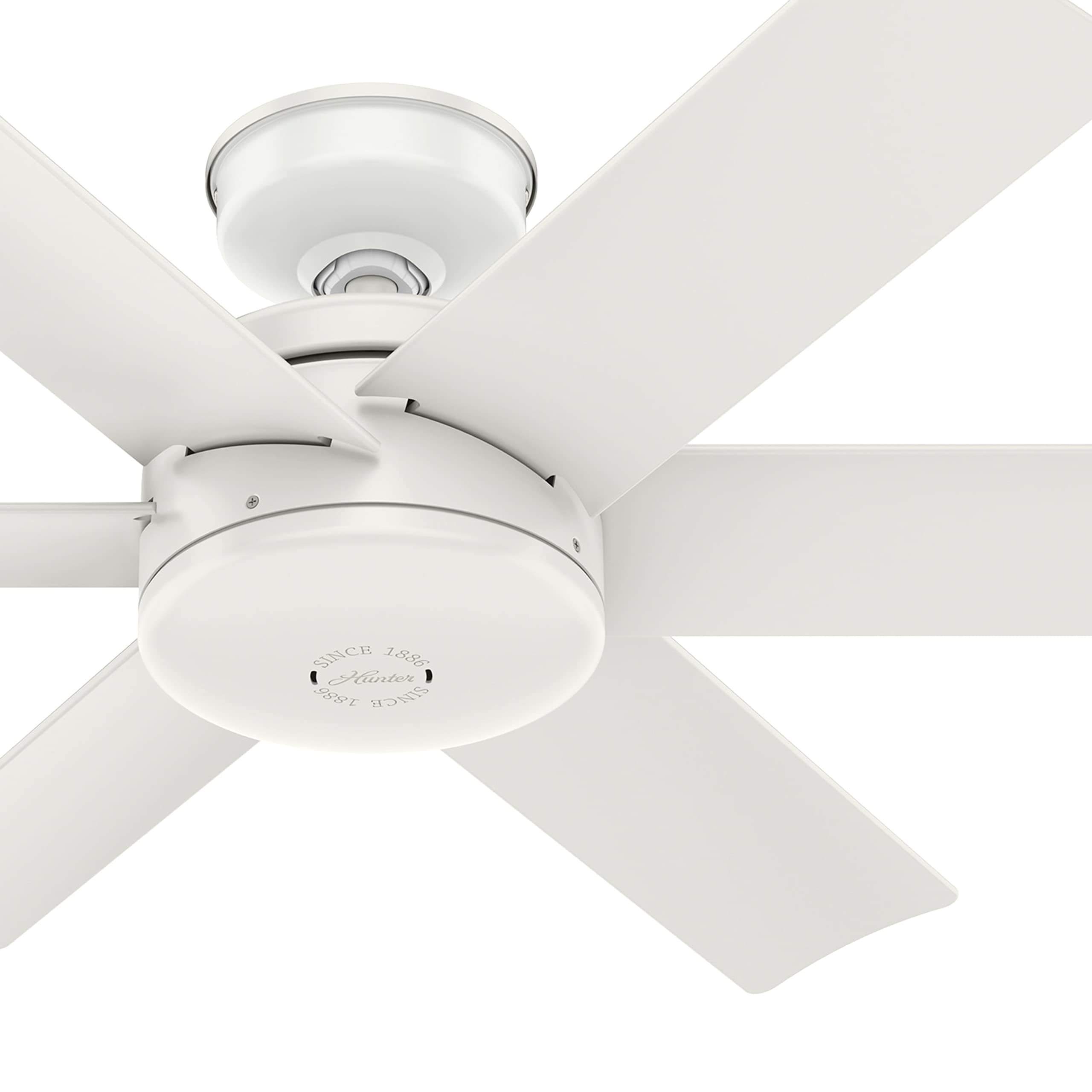 Snapklik.com : Hunter Fan 44 Inch Casual Fresh White Outdoor Ceiling Fan