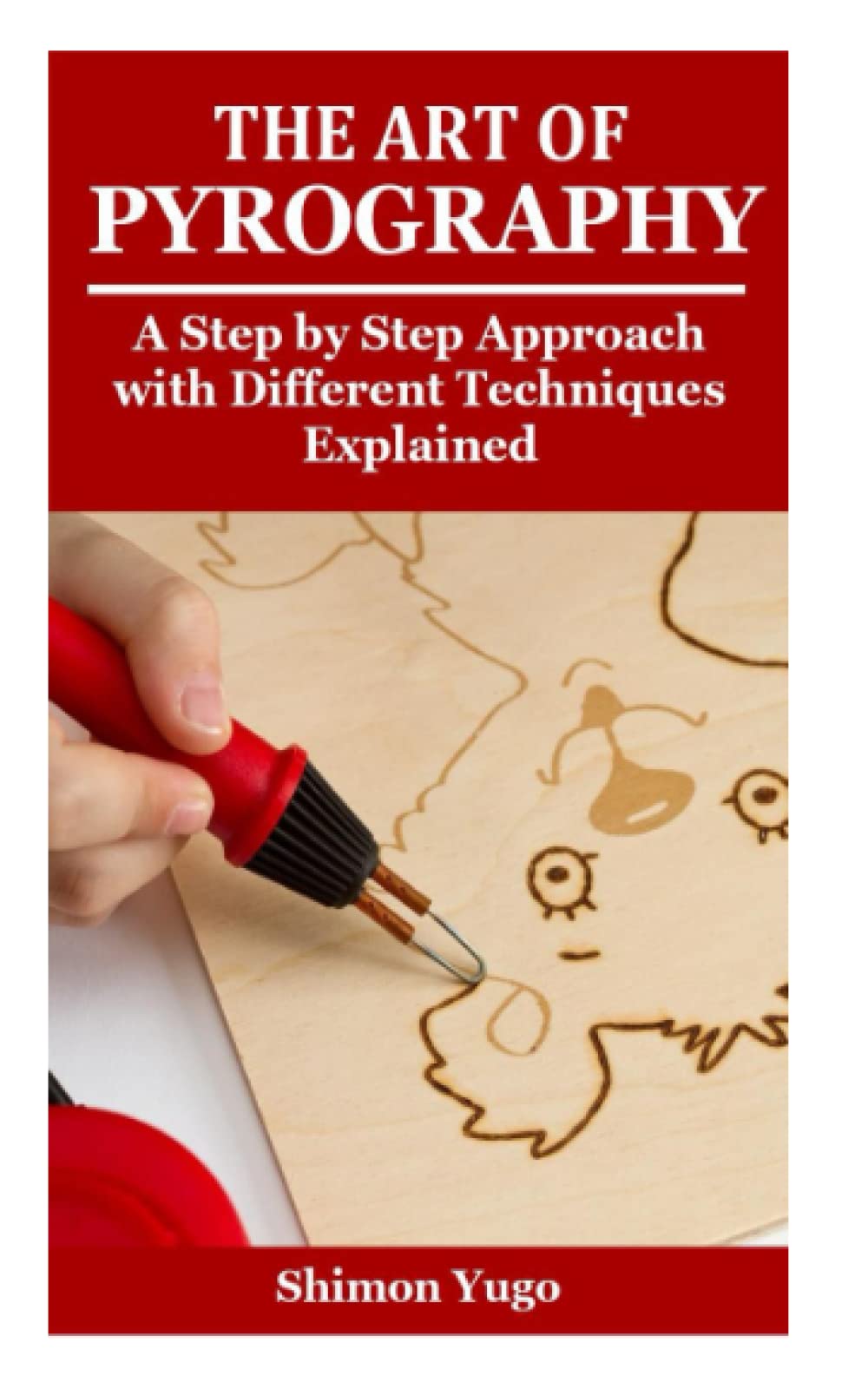 Buy THE ART OF PYROGRAPHY: Step by Step Approach with Different ...