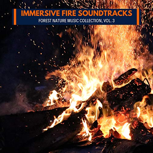 Amazon.com: Immersive Fire Soundtracks - Forest Nature Music Collection ...