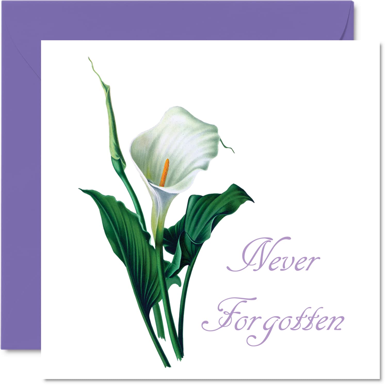 Postales De Condolencias Gratis Tarjeta De Condolencias Funeral Floral