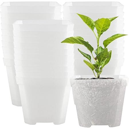 Amazon.com: HEIHAK 40 PCS 4 Inches Plastic Square Nursery Pot ...